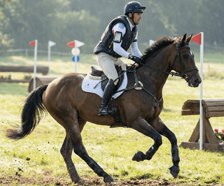 Gilet de protection équitation : Airbag ou dorsal rigide ? - Kerguélen ...